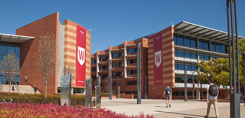 Western Sydney University discloses data breach, 7,500 ‘impacted individuals’ notified - Cyber Daily